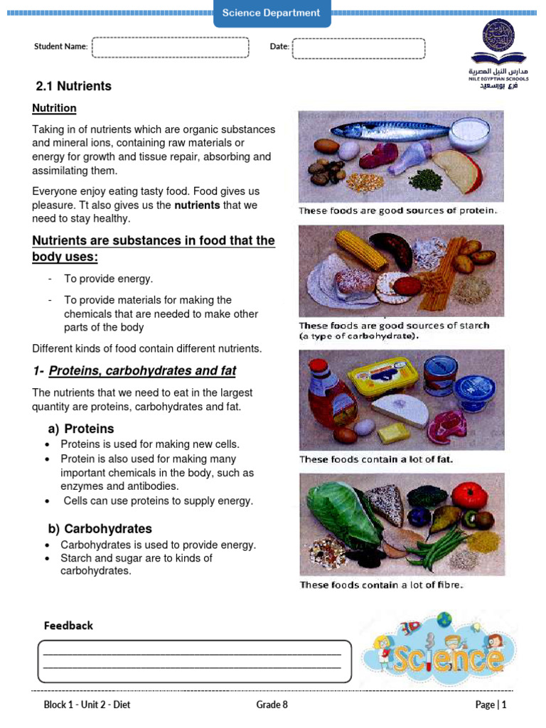 Grade 8 Block 1 Unit 2 Lesson 1 Sheets | PDF | Foods | Food Energy