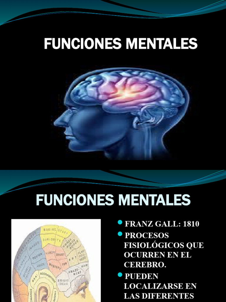 Funciones Mentales y Estructura Cerebral | PDF | Cerebro | Sentidos