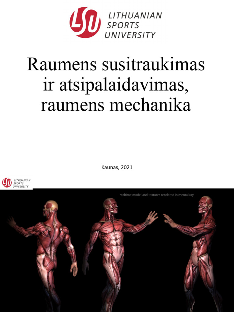 Judesių Valdymas, Raumens Susitraukimas, Atsipalaidavimas, Mechanika | PDF