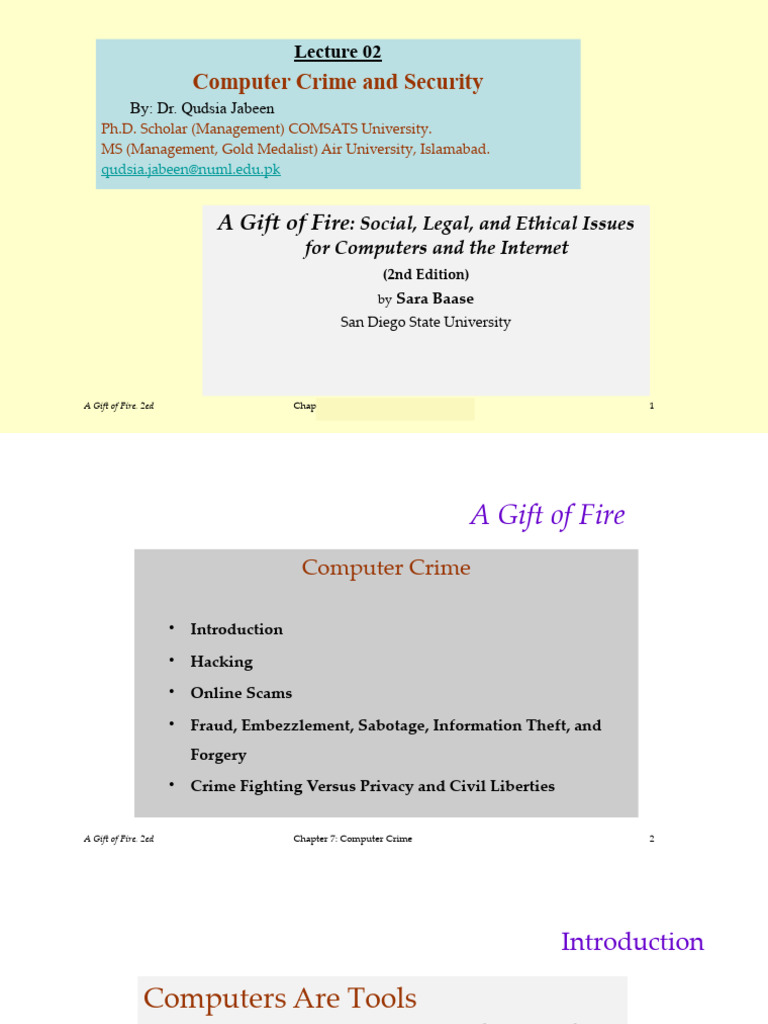 Lecture 2 Computer Crime and Security | PDF | Cybercrime | Security Hacker