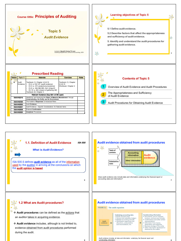 Understanding Audit Evidence and Procedures | PDF | Audit | Financial ...