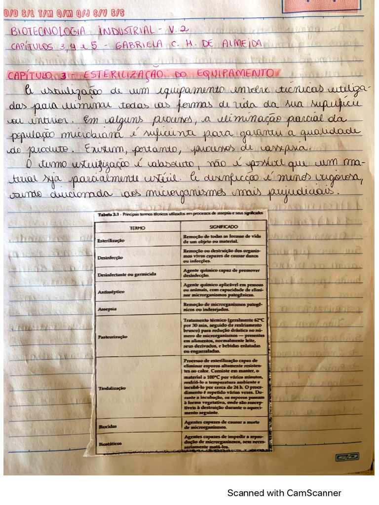 Resumo Capítulos 3, 4 e 5 - Gabriela Alm | PDF