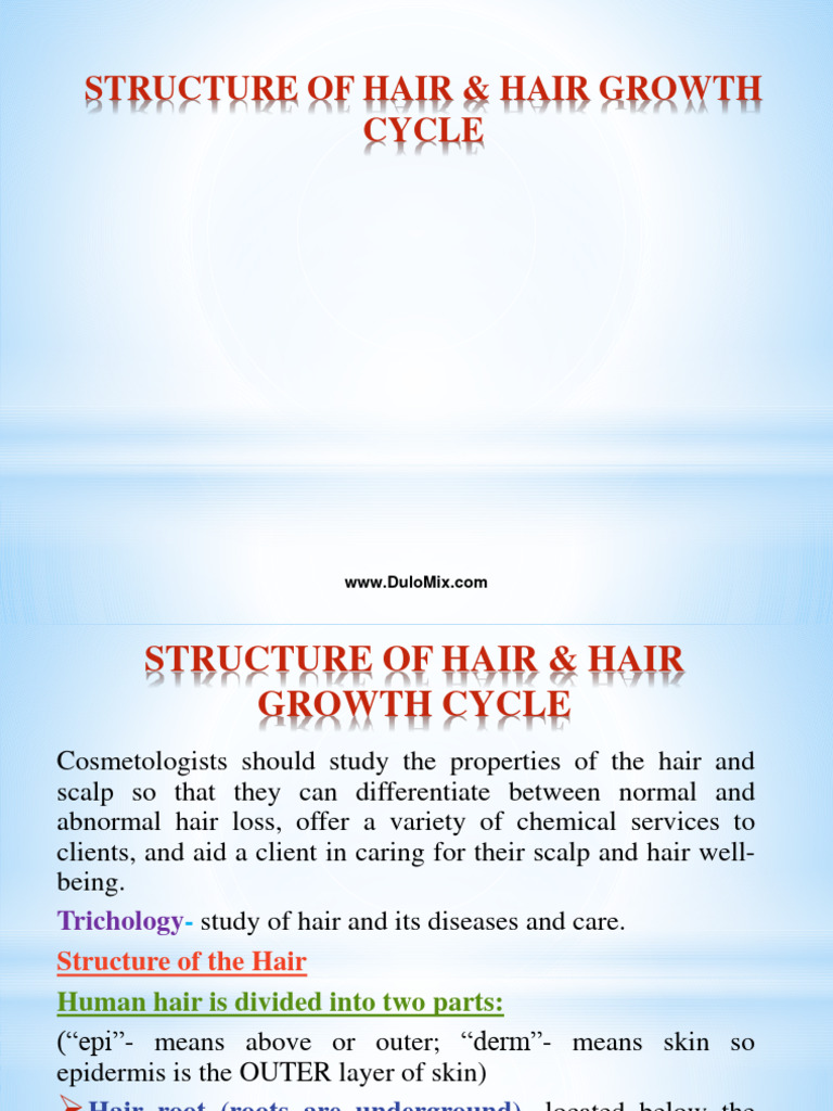 Hair Structure Growth Cycle | Download Free PDF | Hair | Integumentary ...
