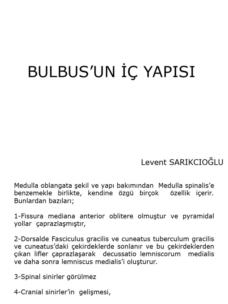 Bulbus Ve Pons Un Kesitsel Anatomisi | PDF