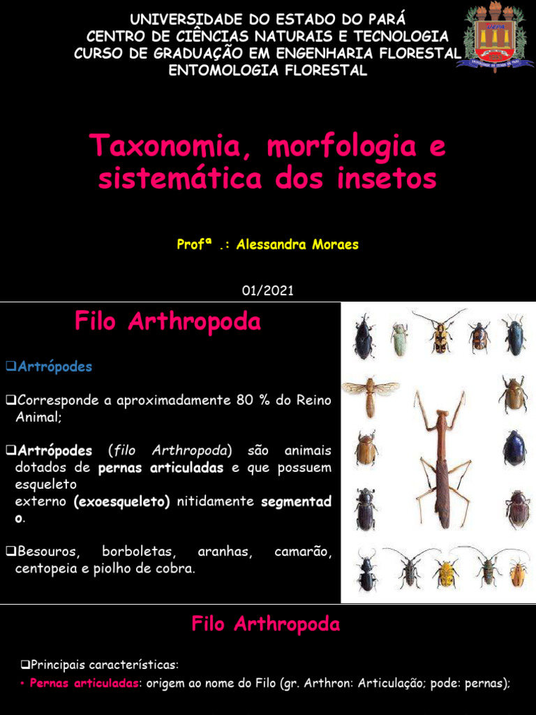 Taxonomia, Morfologia e Sistemática de Insetos | PDF | Insetos | Artrópodes