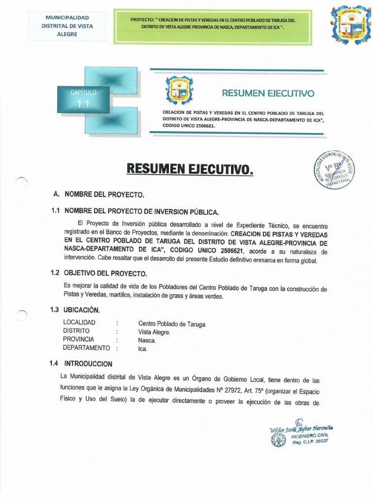 02 Resumen Ejec | PDF