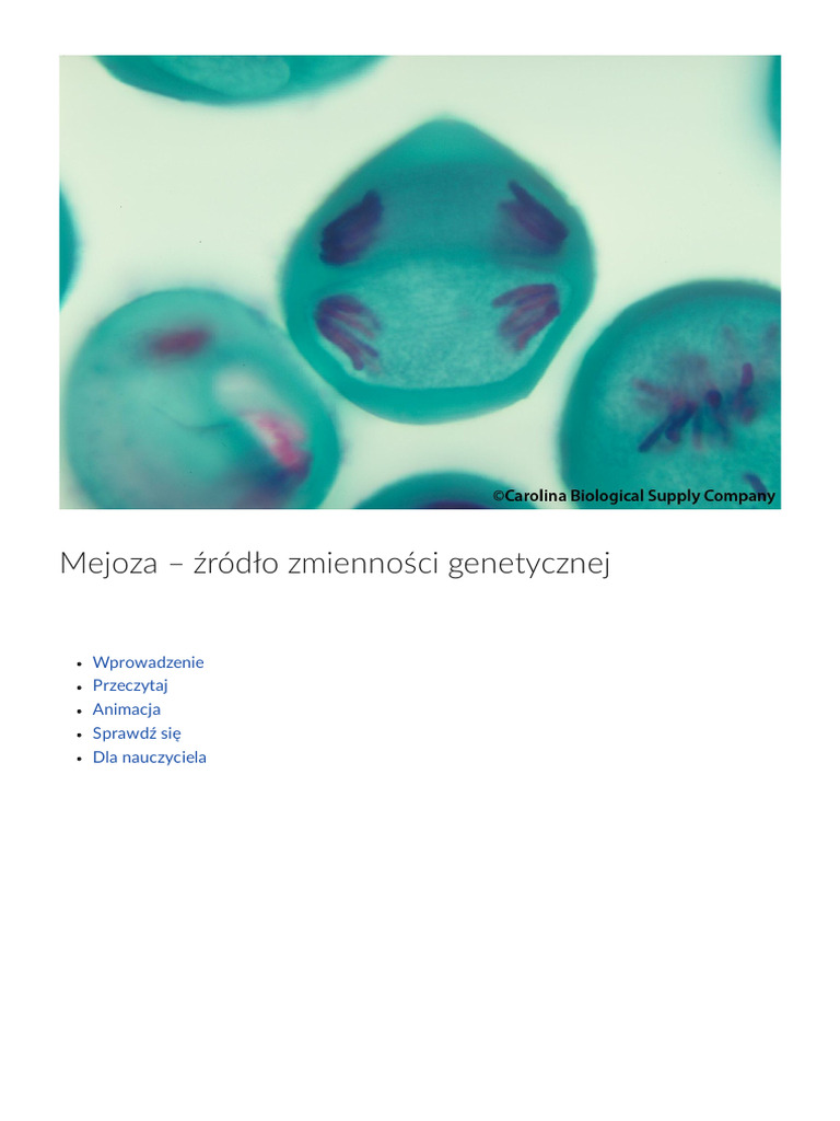 Mejoza Zrodlo Zmiennosci Genetycznej | PDF