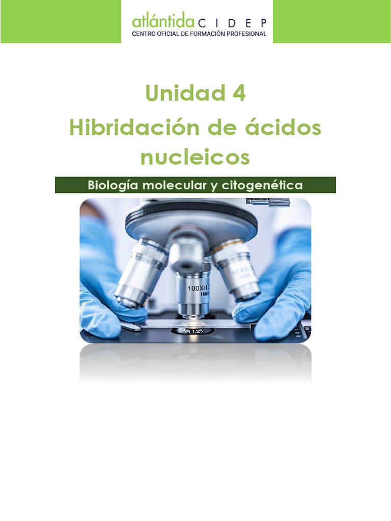 Unidad 4 Hibridación de Ácidos Nucleicos: Biología Molecular y Citogenética | Descargar gratis ...
