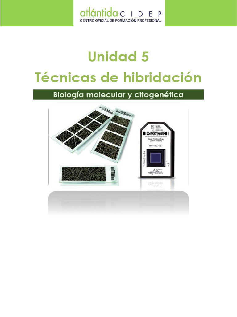 Unidad 5 Técnicas de Hibridación: Biología Molecular y Citogenética | PDF | Blot (biología ...