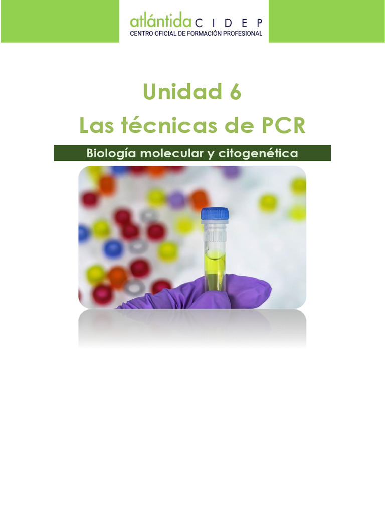 Unidad 6 Las Técnicas de PCR: Biología Molecular y Citogenética ...