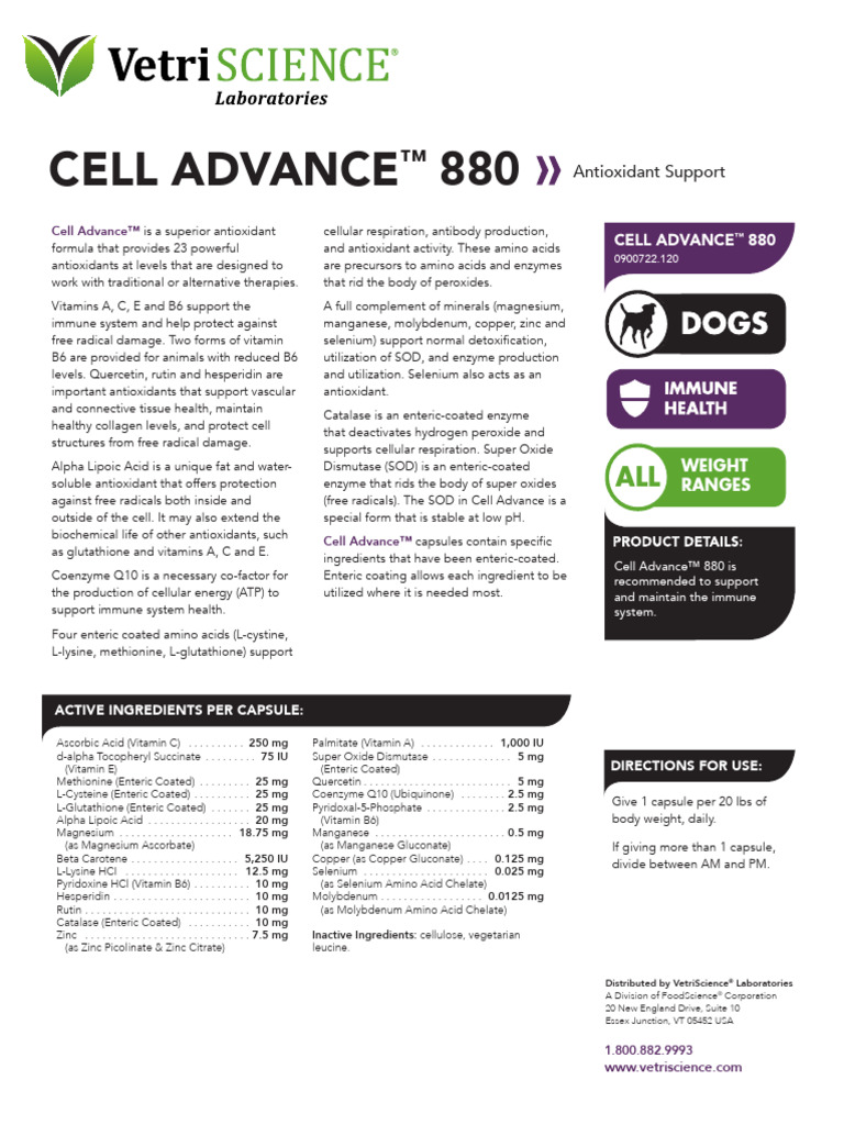 Cell Advance 880: Antioxidant Support | PDF | Antioxidant | Natural ...