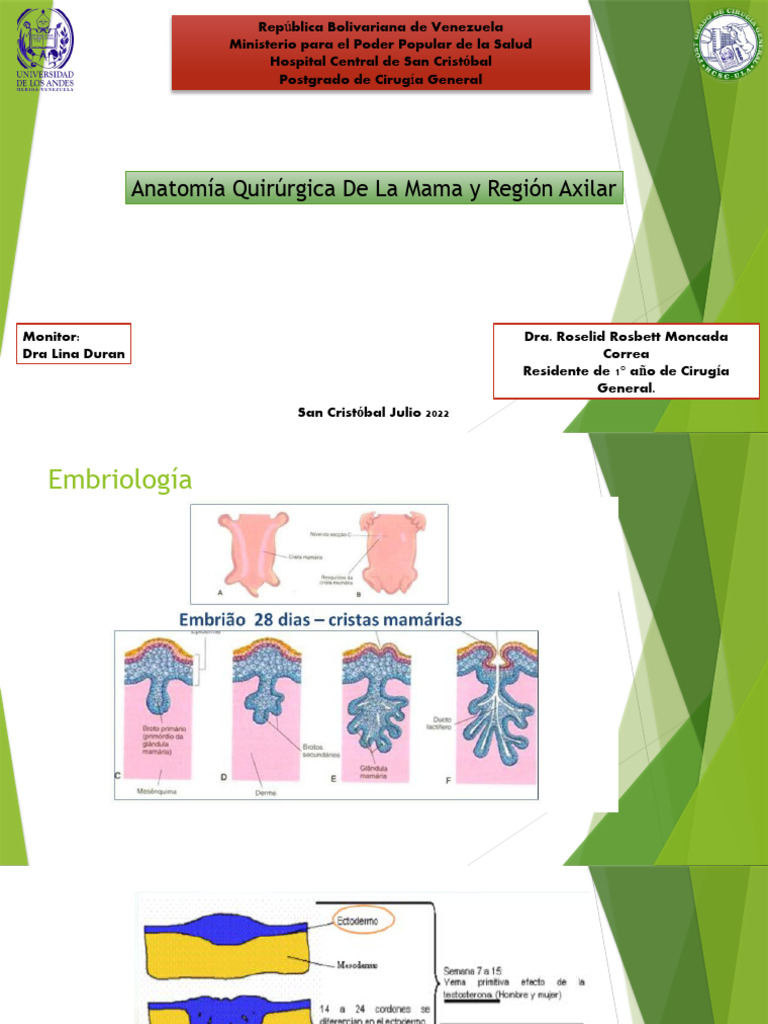 Anatomía de la Cola Axilar Mamaria | PDF | Pecho | Sistema ...