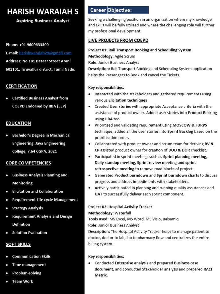 Ba Resume | PDF | Scrum (Software Development) | Information Technology