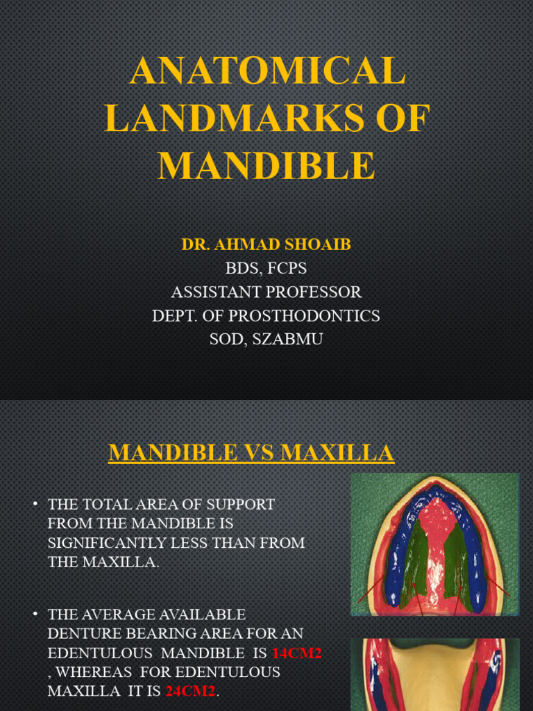 Anatomical Landmarks of Mandible | PDF | Tongue | Anatomical Terms Of Location