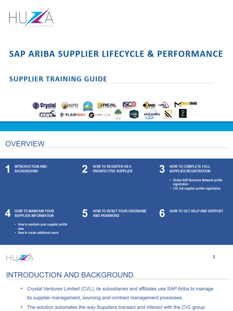 Ariba-SLP NT | PDF | Password | User (Computing)