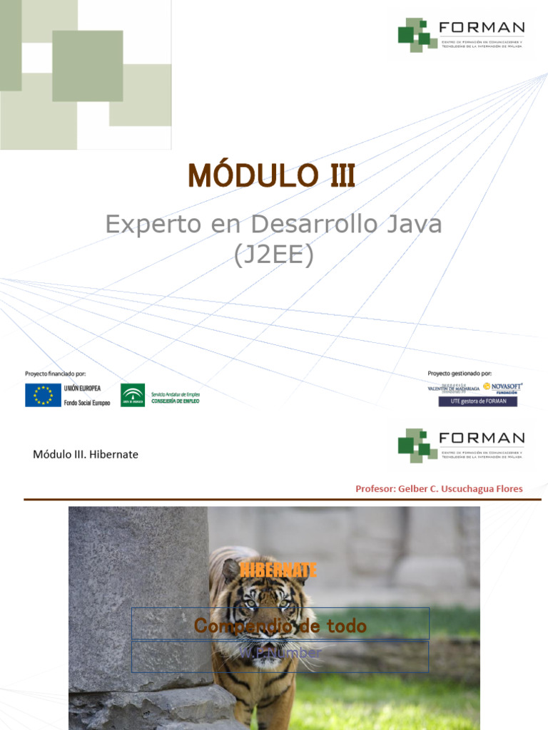 Hibernate I | PDF | Objeto (informática) | Bases de datos