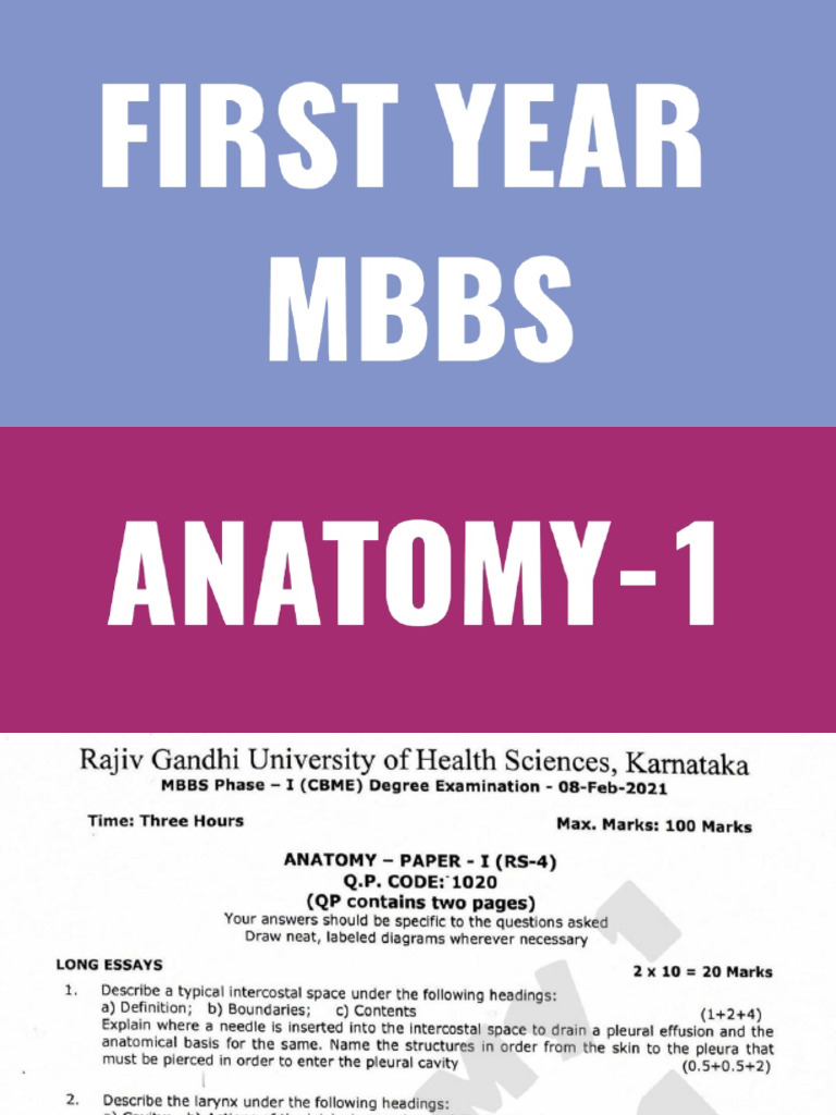 First Year Mbbs | PDF