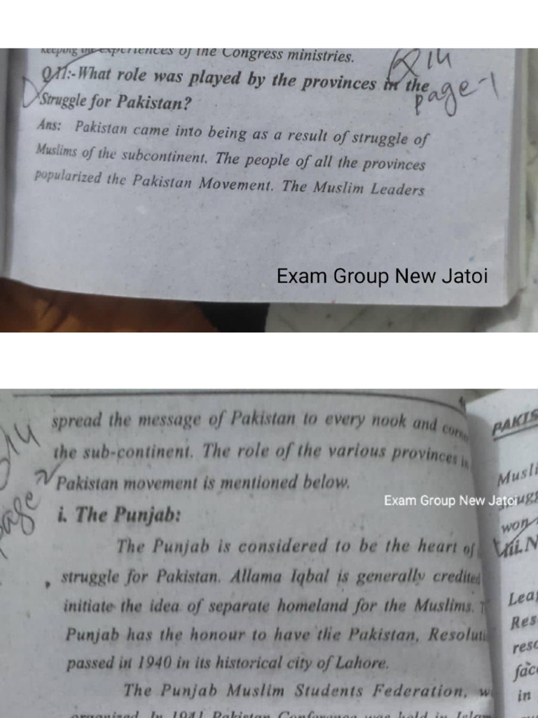 Pak Studies Full Paper by Team Faraz | PDF