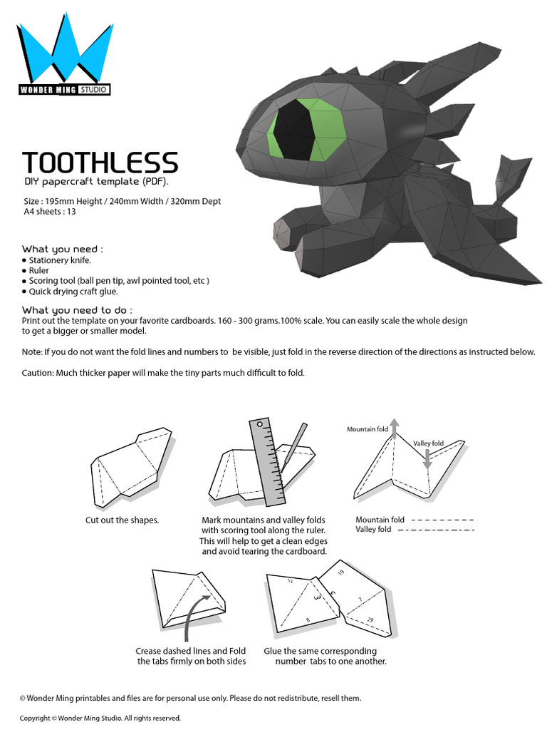 Toothless Instruction | PDF