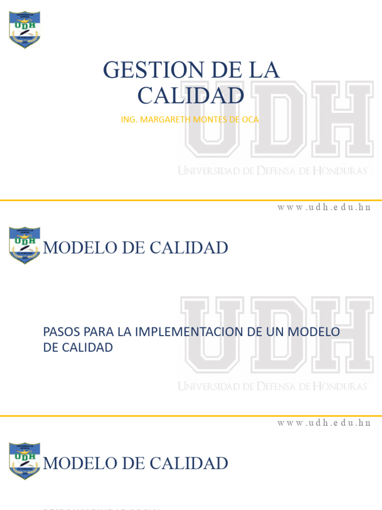 II Formato de Presentación CALIDAD | PDF | Calidad (comercial ...