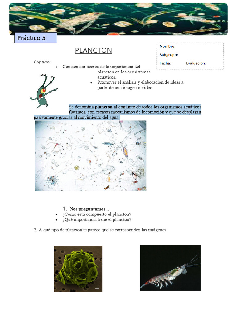Importancia y tipos de plancton | PDF | Plancton | Fitoplancton