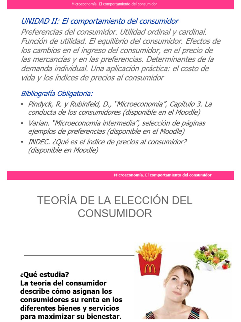 Unidad 2-El comportamiento del consumidor 2024 | PDF | Microeconomía | Utilidad