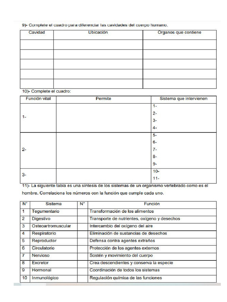 Actividad de Primer Modulo | PDF