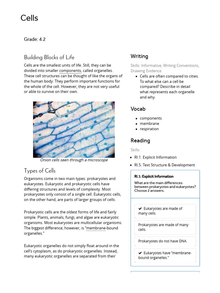 Reading 2 | Download Free PDF | Cell (Biology) | Organelle