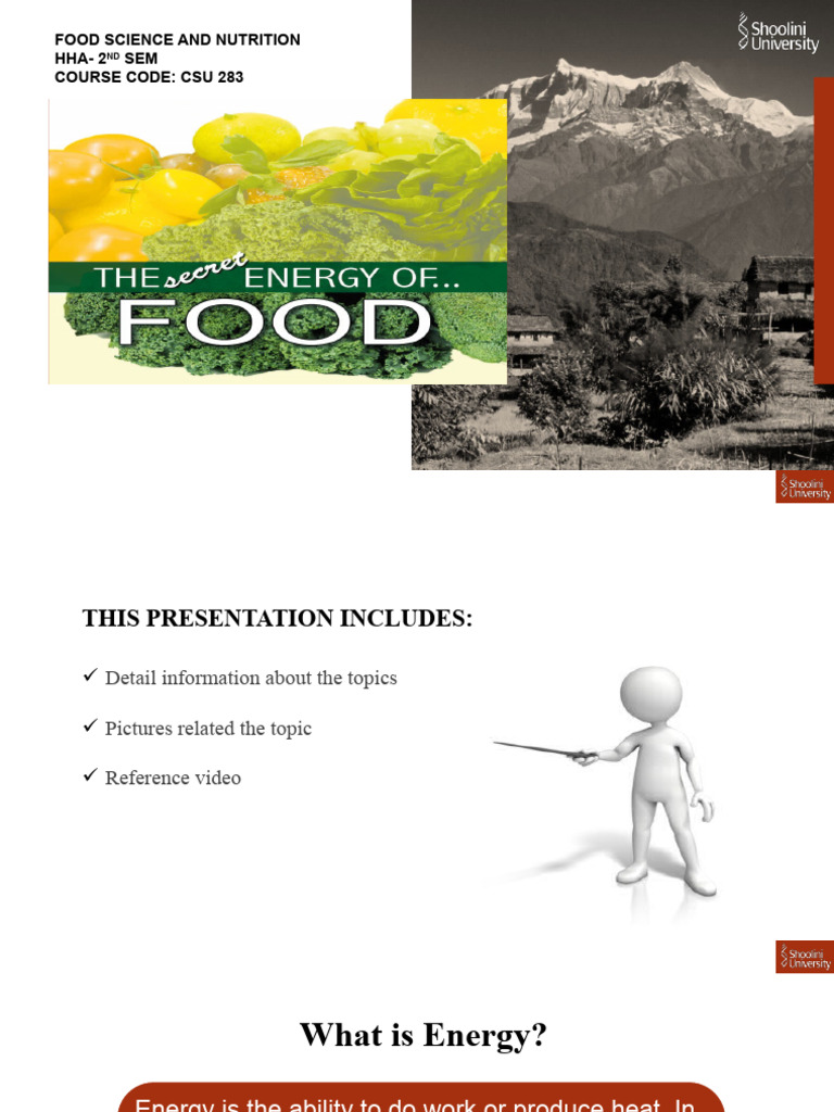 Bsc-Hha-2nd Sem FSN L-7 | PDF | Calorie | Food Energy