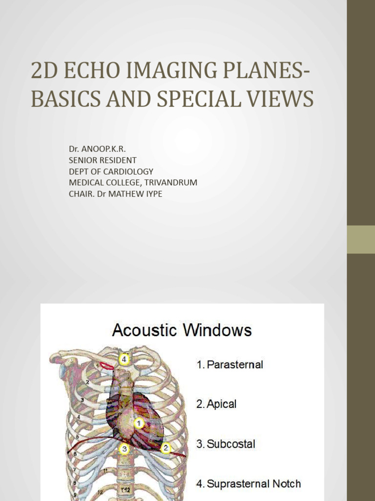 Echo Basics and Special Views | Download Free PDF | Heart Valve | Ventricle (Heart)