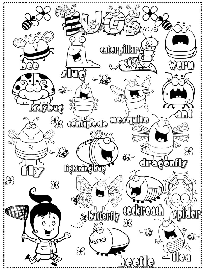 Insects Picture Dictionaries - 40924 | PDF