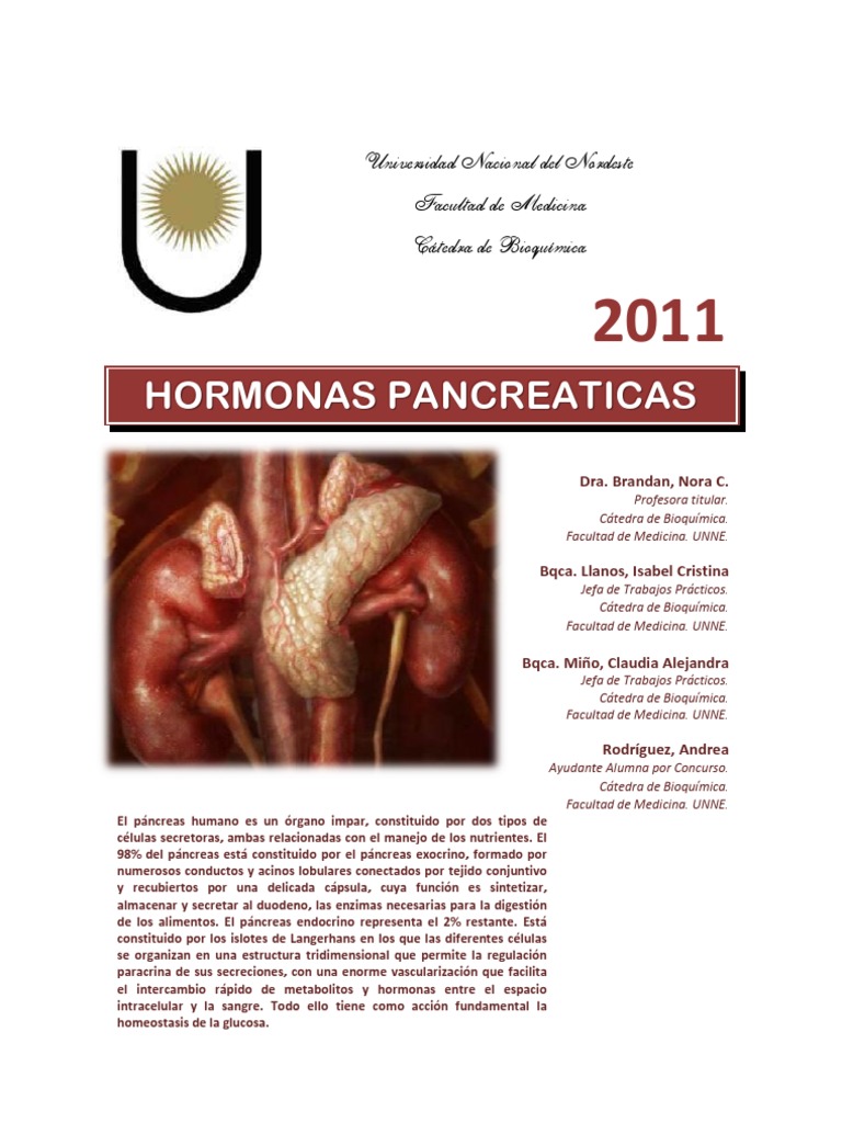 Hormonas Pancreaticas | Páncreas | Glucógeno