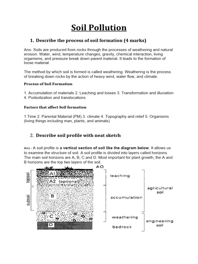 P-2, Chapter-3 | PDF | Soil | Pollution