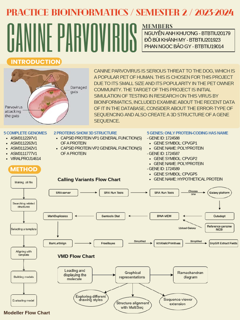 Practice Bioinformatics - Sem2 - 2023-2024 | PDF | Bioinformatics | Gene