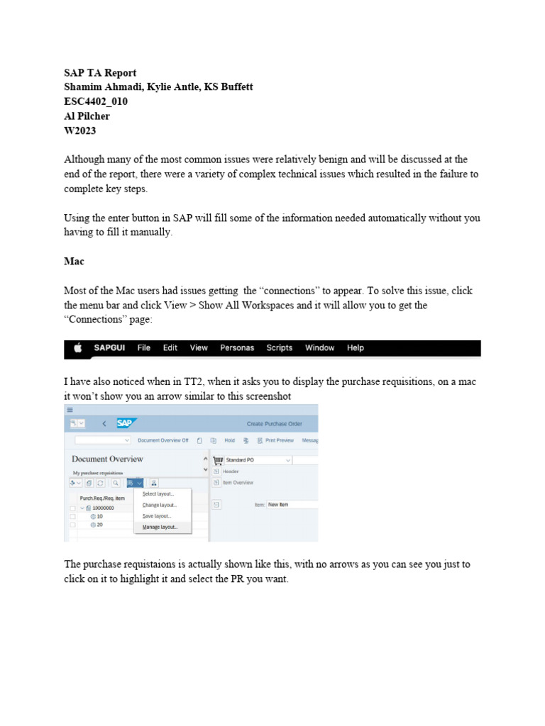 ESC4402 - SAP - TA Report | PDF | Menu (Computing) | System Software