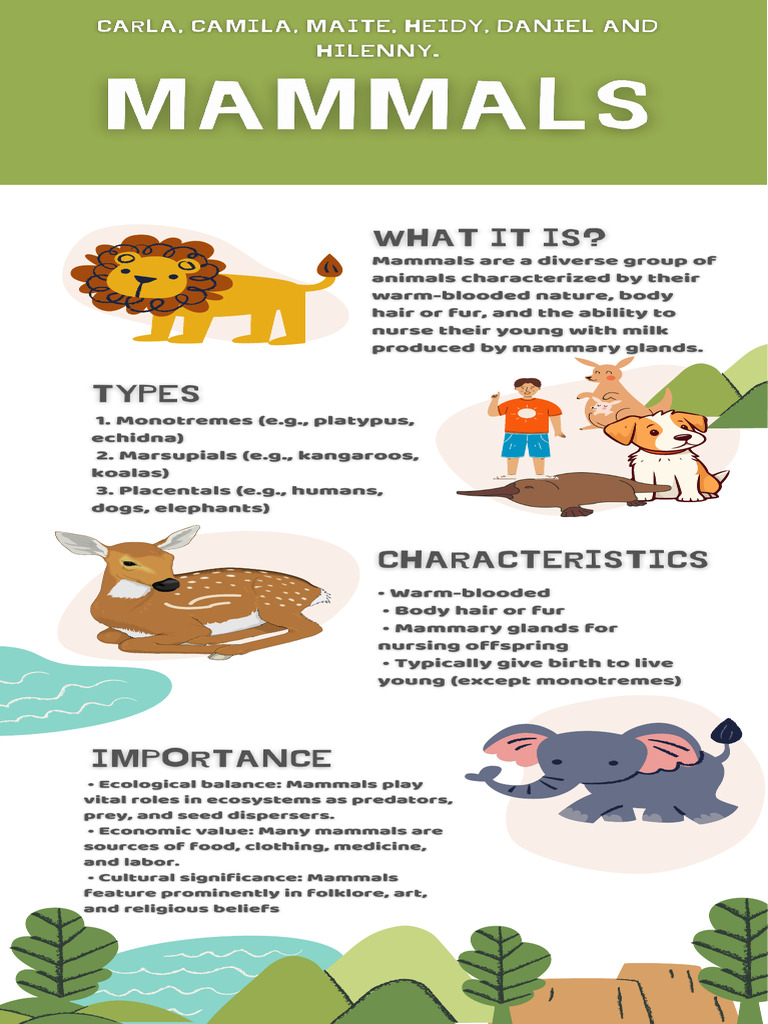 Animals Infographic (4to B) | PDF