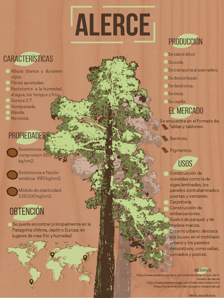 Características y usos del alerce | PDF | Madera