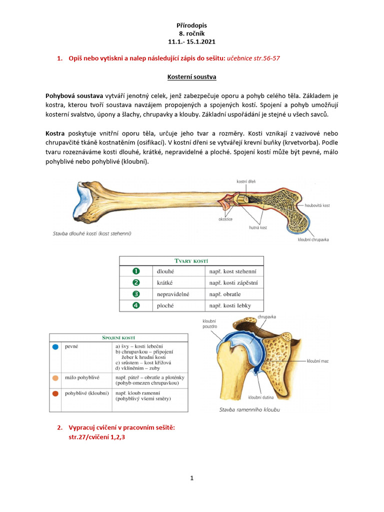 PR8 11.1.-15.1.2021 | PDF