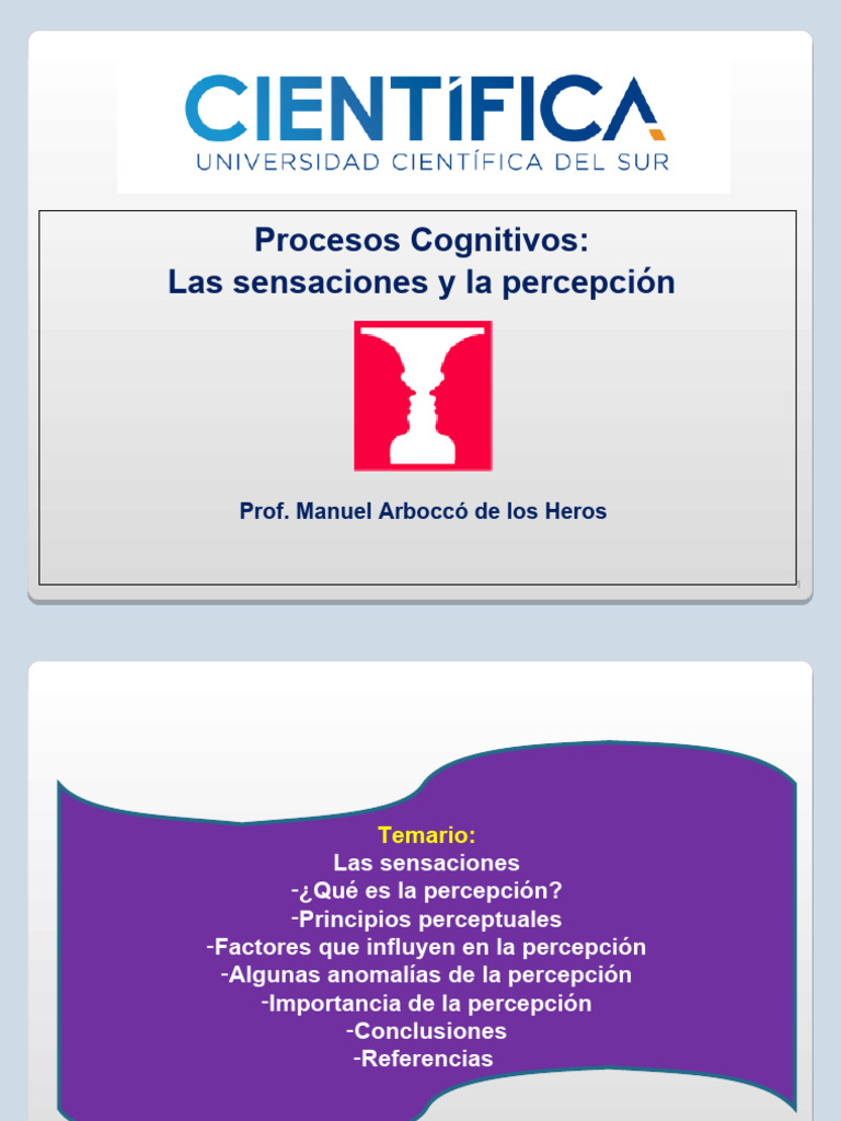 SEMANA 2, PS. COGNITIVA, Las Sensaciones y La Percepción | PDF | Percepción | Sentidos