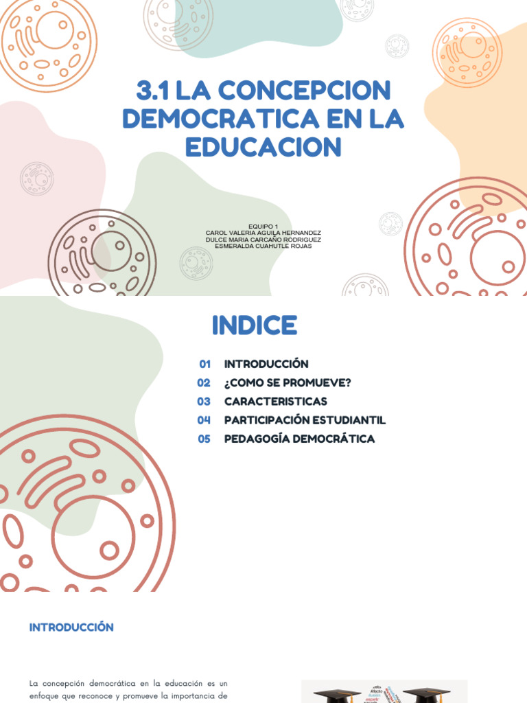 3.1 La concepcion democratica en la educacion (Diapositivas ...