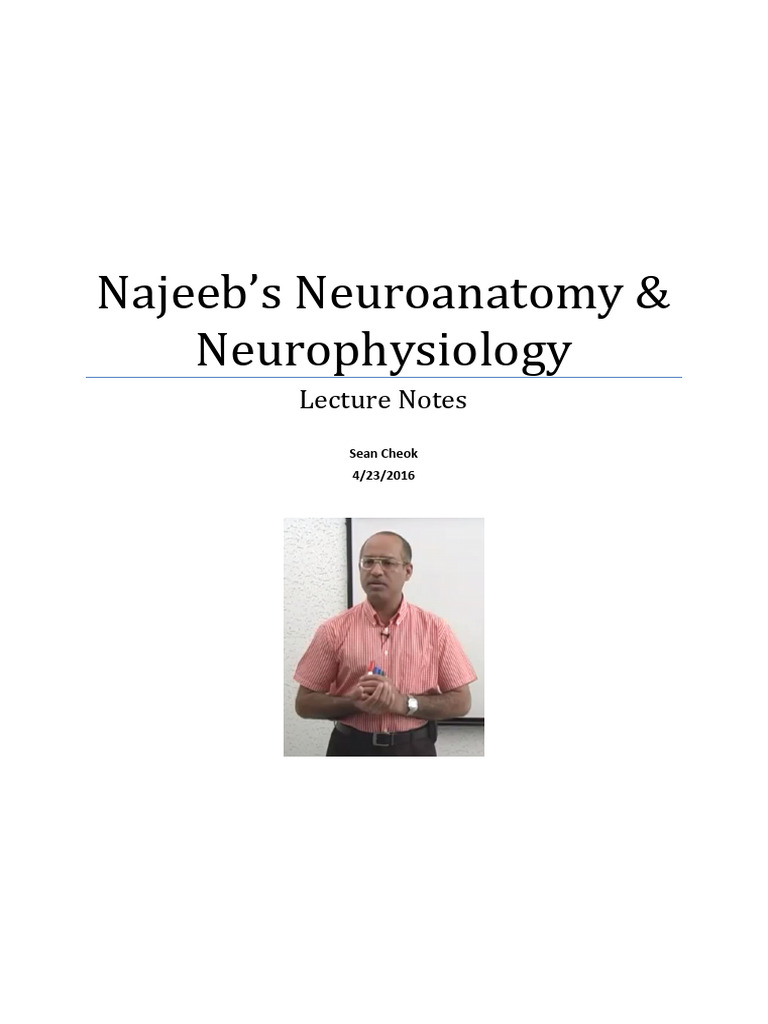 Najeeb Neuroanatomy and Neurophysiology Notes | PDF | Central Nervous ...