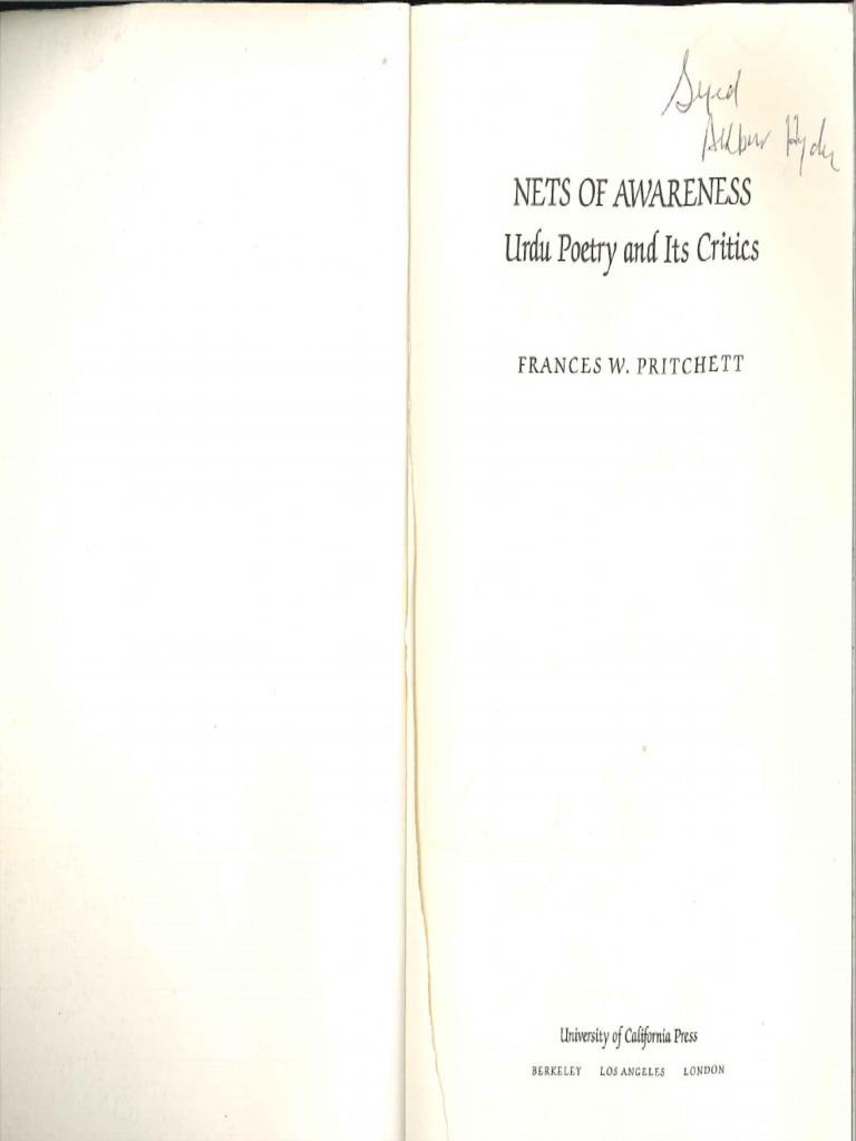 Pritchett Nets of Awareness | PDF