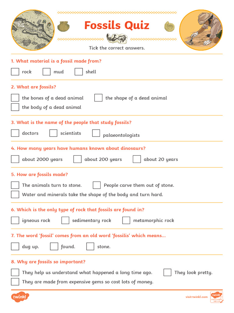 T SC 1652430817 Fossils Quiz - Ver - 1 | PDF