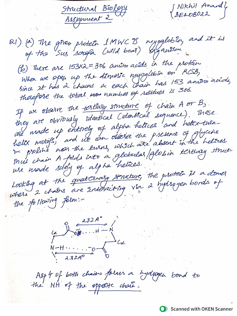 BT 3020 Assgn 2 | PDF