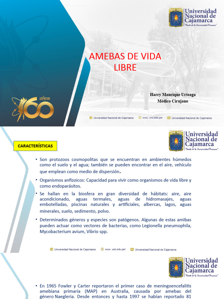 Amebas de Vida Libre | PDF