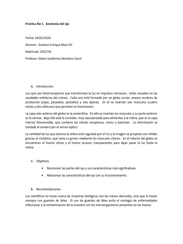 Práctica No 5 Ojo_ Final | PDF | Ojo humano | Percepción visual
