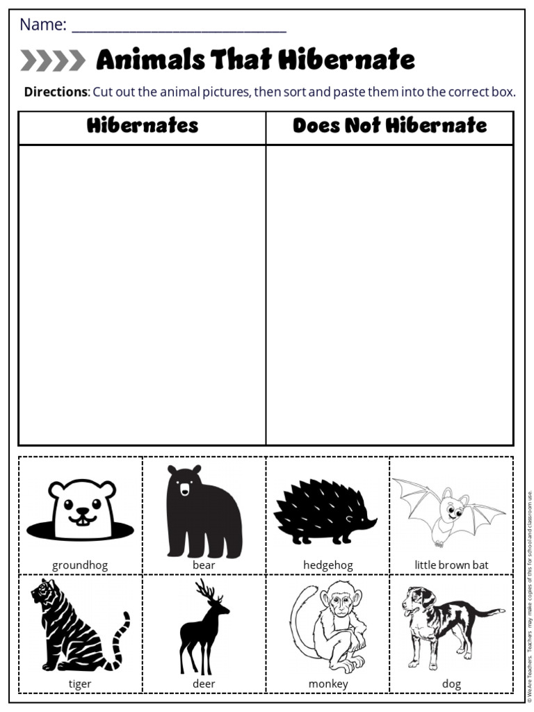 We Are Teachers Animals That Hibernate | PDF | Zoology