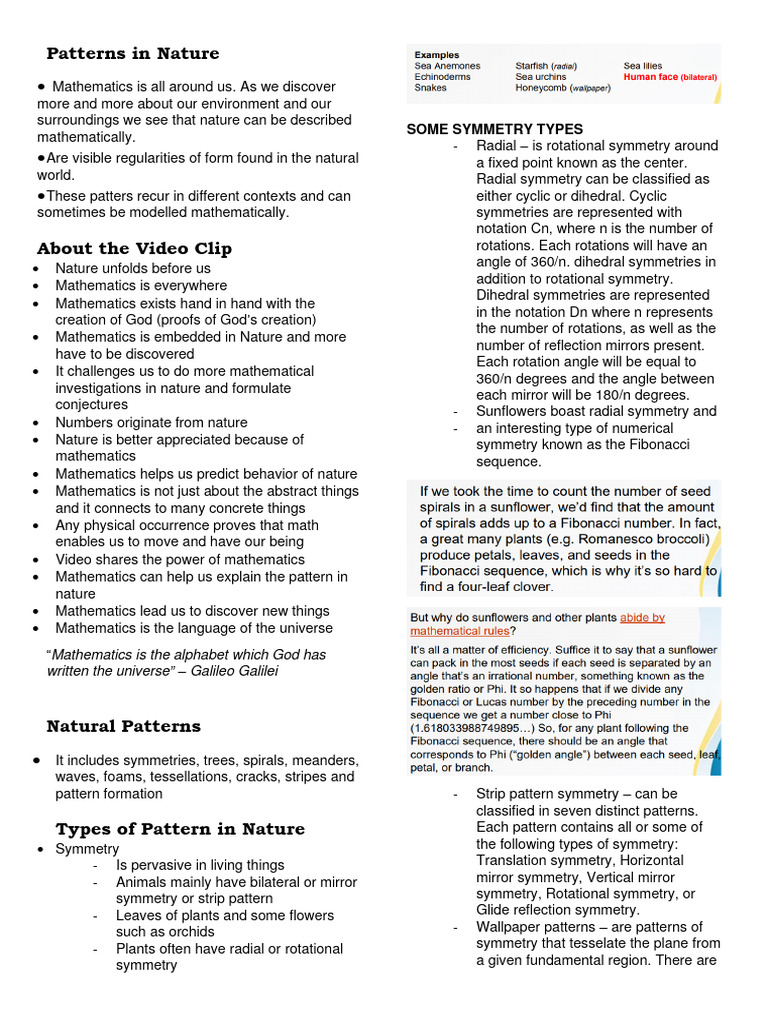Patterns in Nature | PDF | Pattern | Geometry