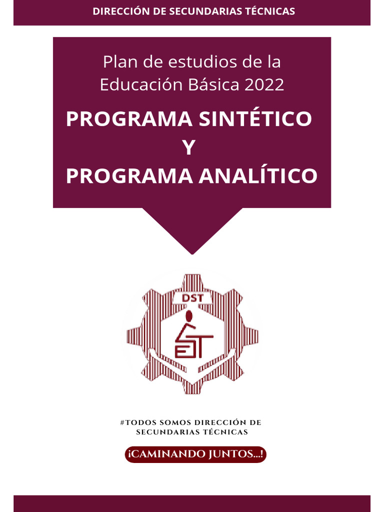 Programa Sintético y Programa Analítio | PDF | Plan de estudios | Enseñando