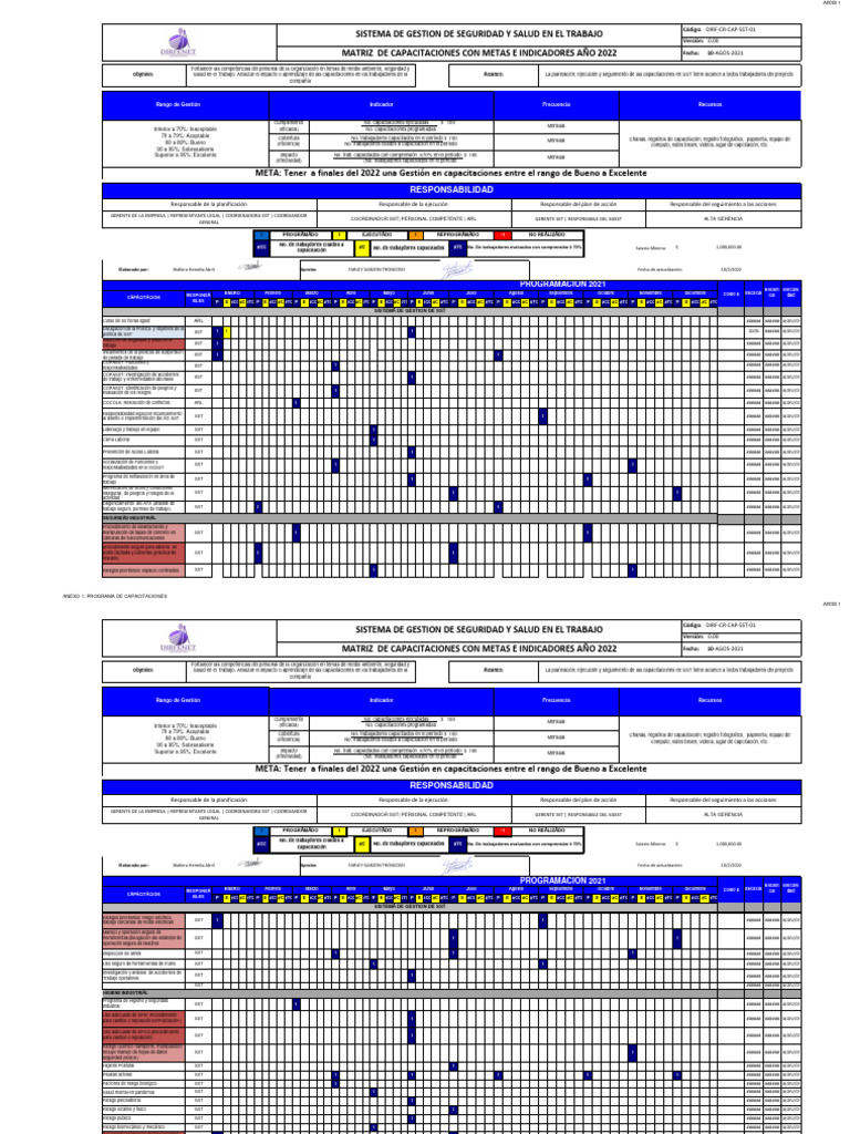 Dirf-M-Cap-Sst Cronograma de Capacitacion - 2022 | PDF | Planificación
